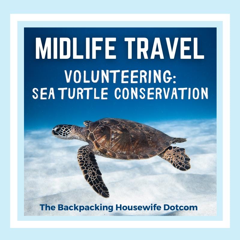 Volunteering: Sea Turtle Conservation - The Backpacking Housewife