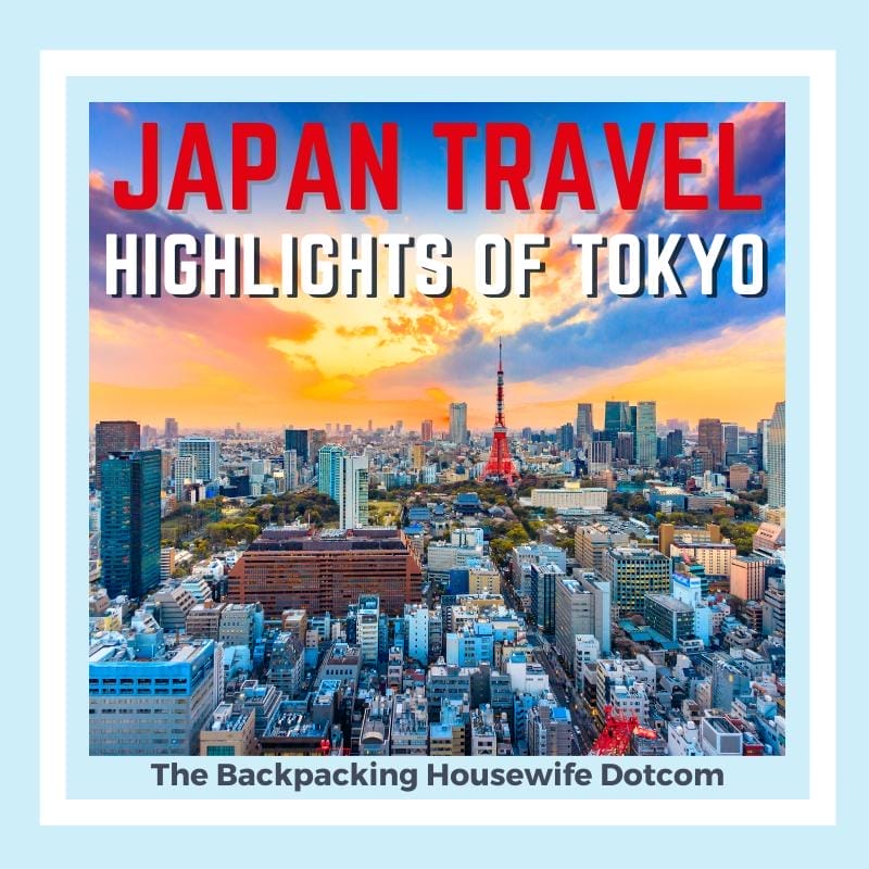 Japan: Highlights of Tokyo - The Backpacking Housewife