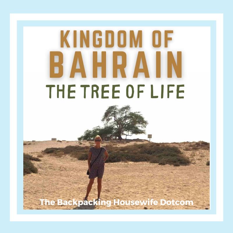 Bahrain - The Tree of Life - The Backpacking Housewife